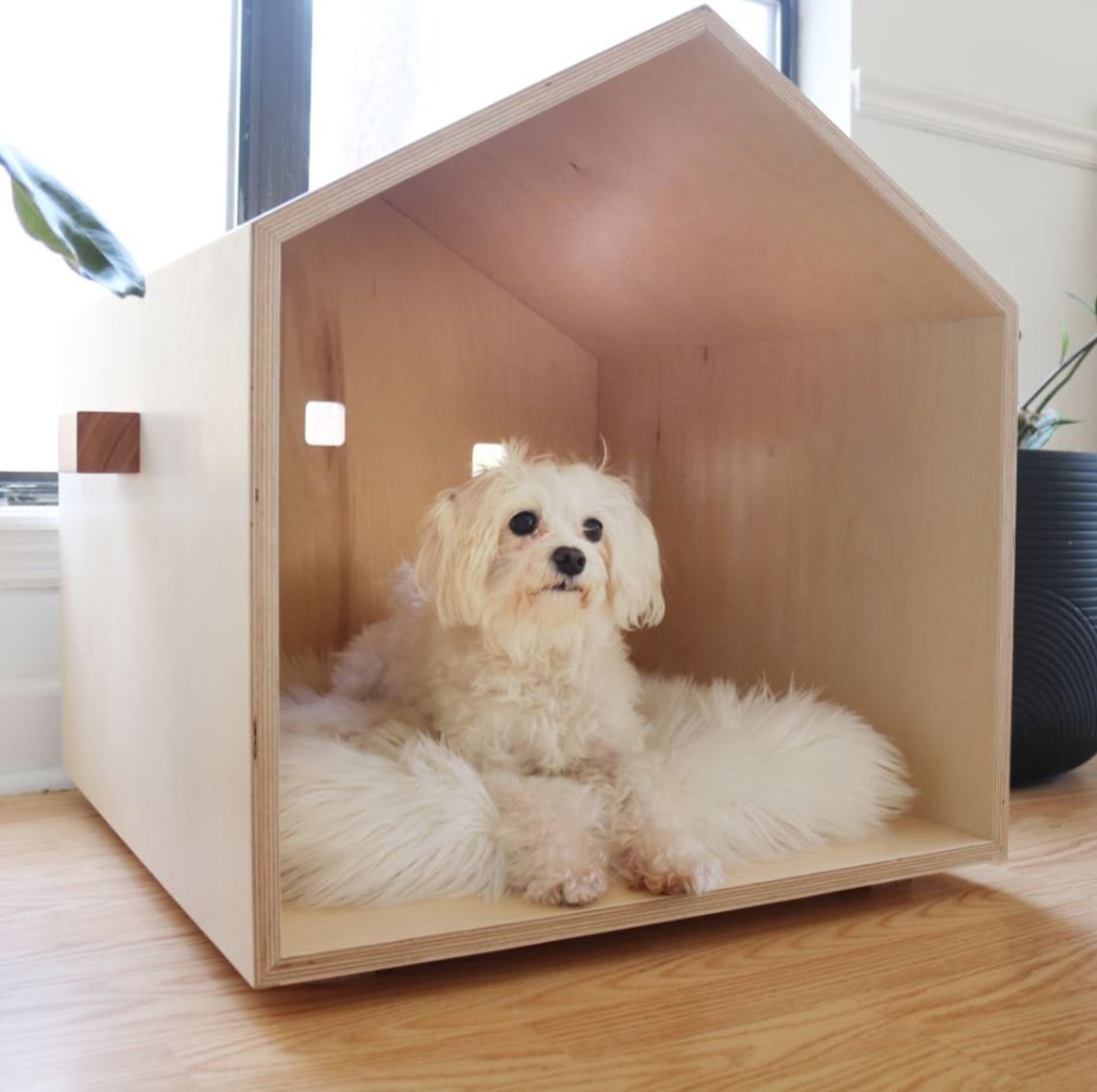 Modern Dog House - Etsy