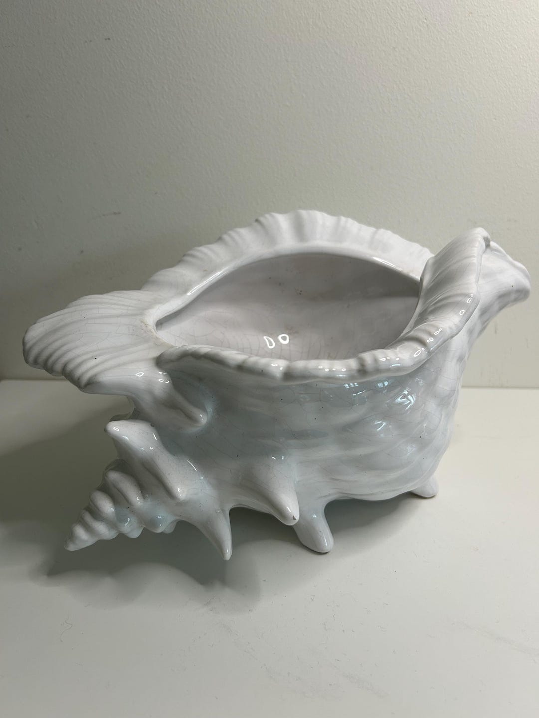 Conch Shell Plant Pot - Etsy