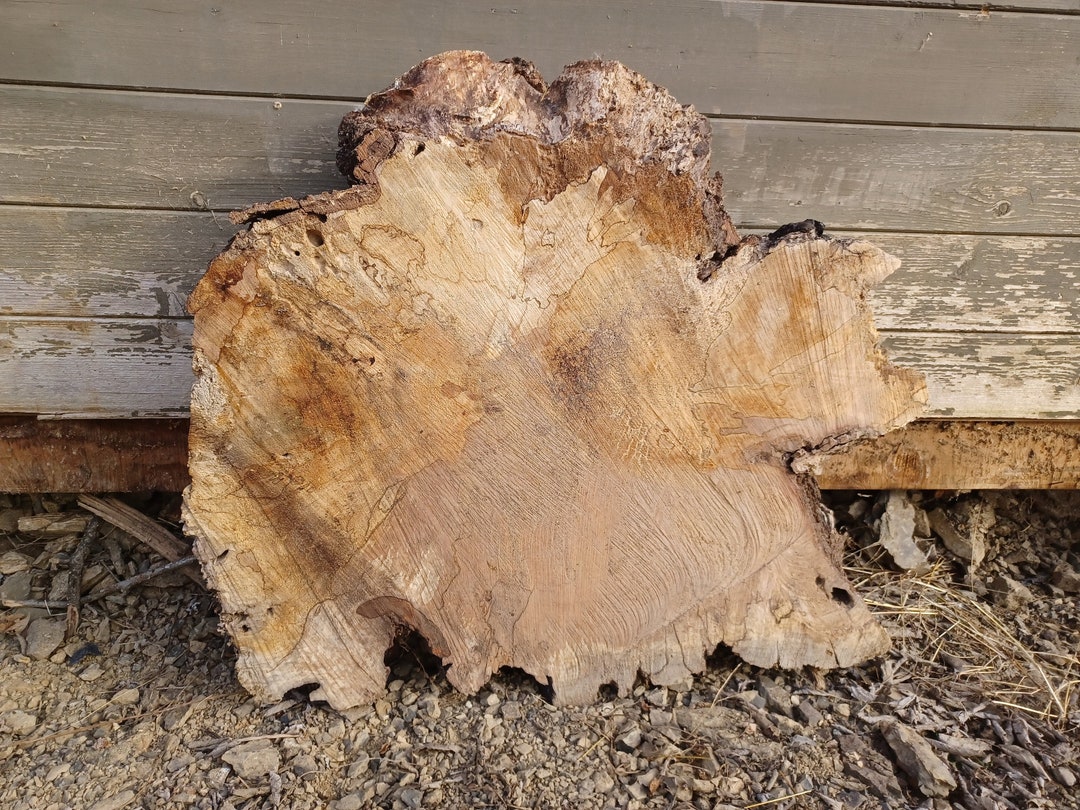 Rough Cut Live Edge Spalted Maple Slab 2 - Etsy