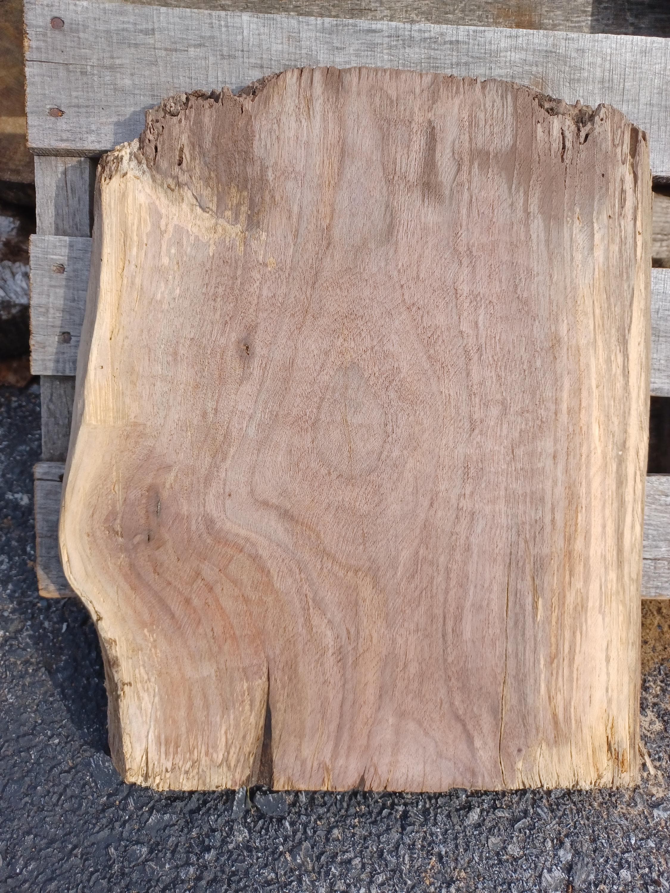 Live Edge Black Walnut Cutting Board Slabs Rough Cut - Etsy