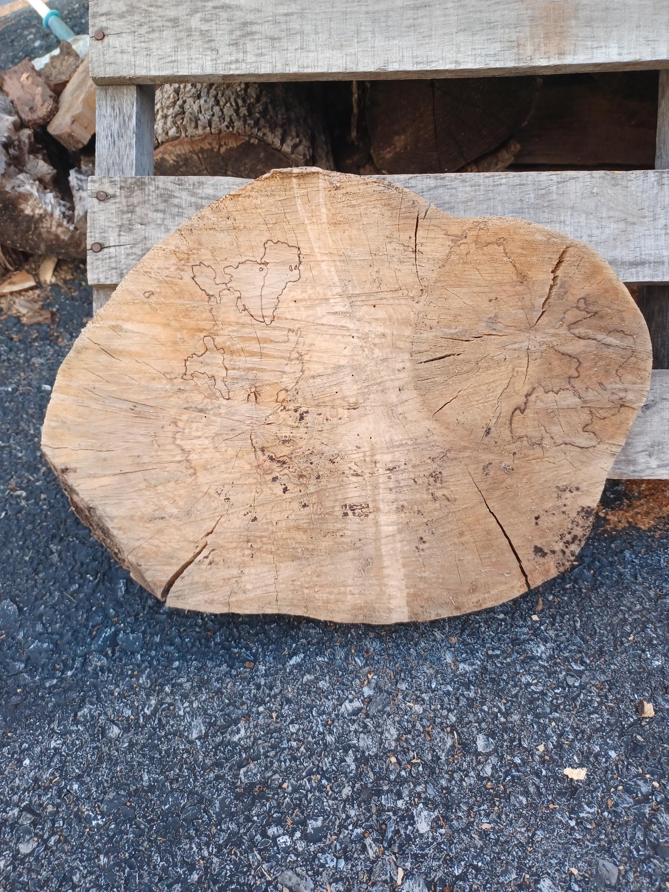 14 Live Edge Spalted Maple Wood Cookie - Etsy
