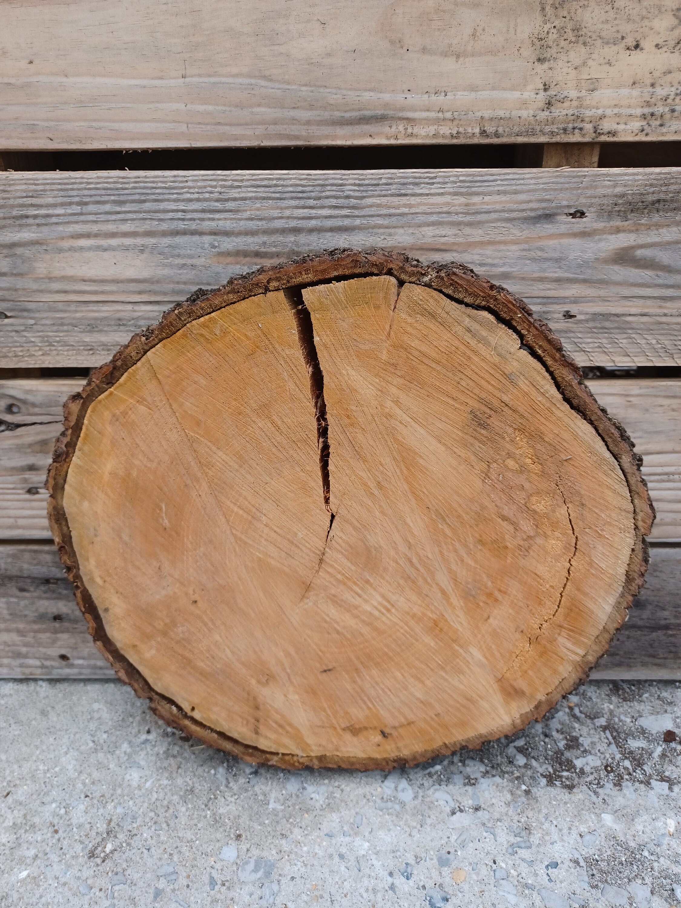 16 Live Edge Cherry Wood Slice - Etsy