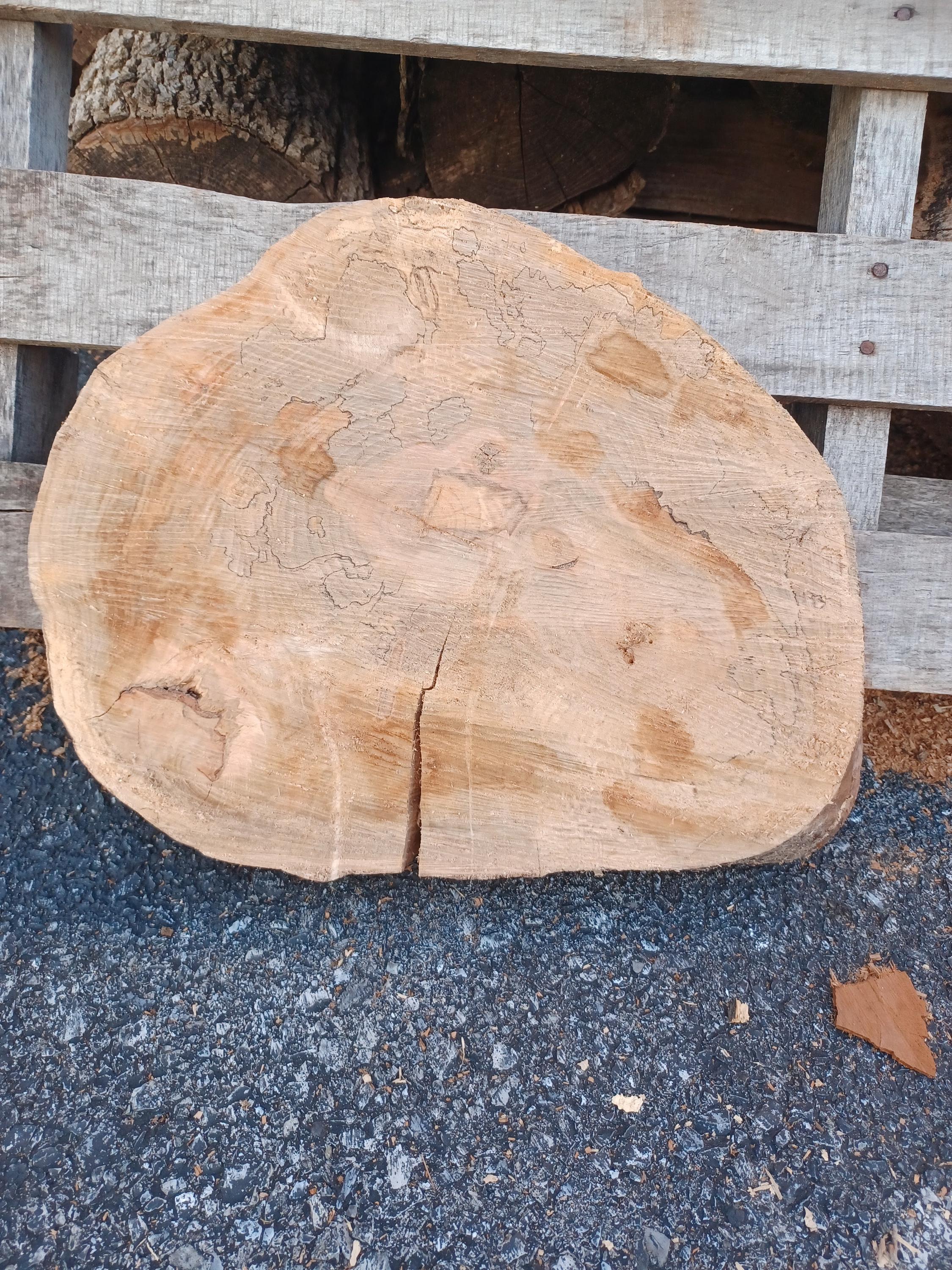 14 Live Edge Spalted Maple Wood Cookie - Etsy