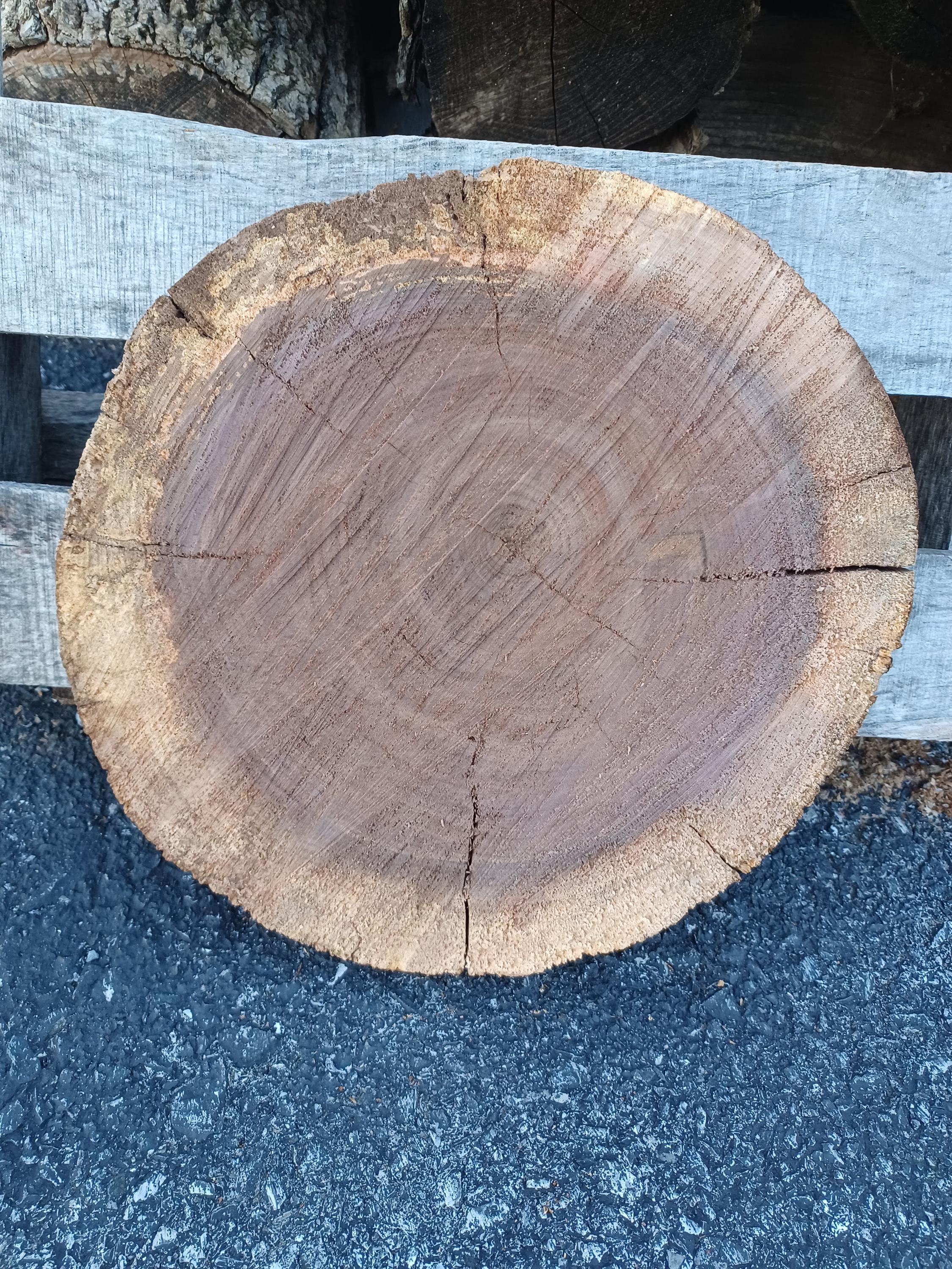 Live Edge Black Walnut Wood Slice - Etsy