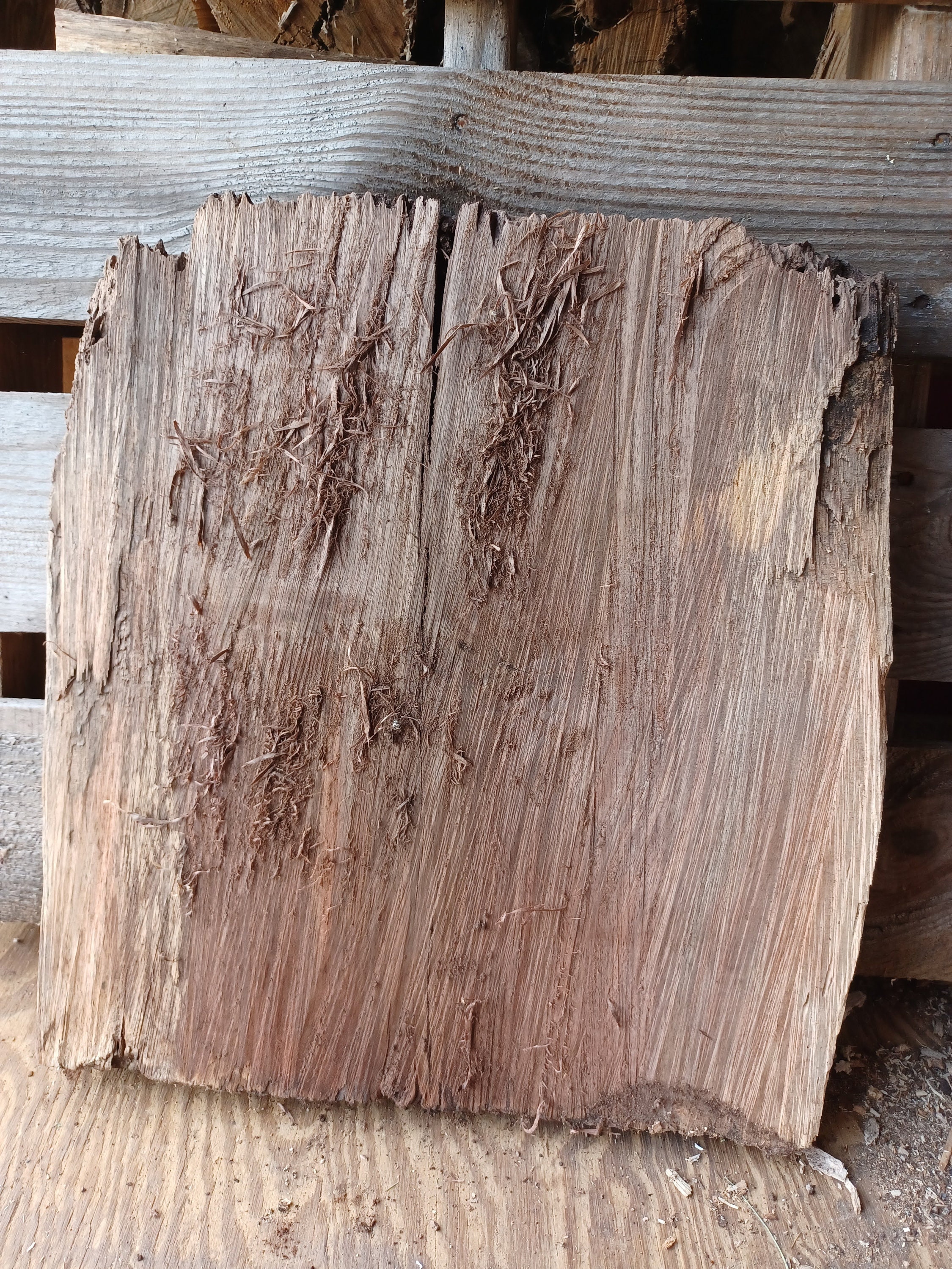 Live Edge Black Walnut Cutting Board Slabs Rough Cut - Etsy