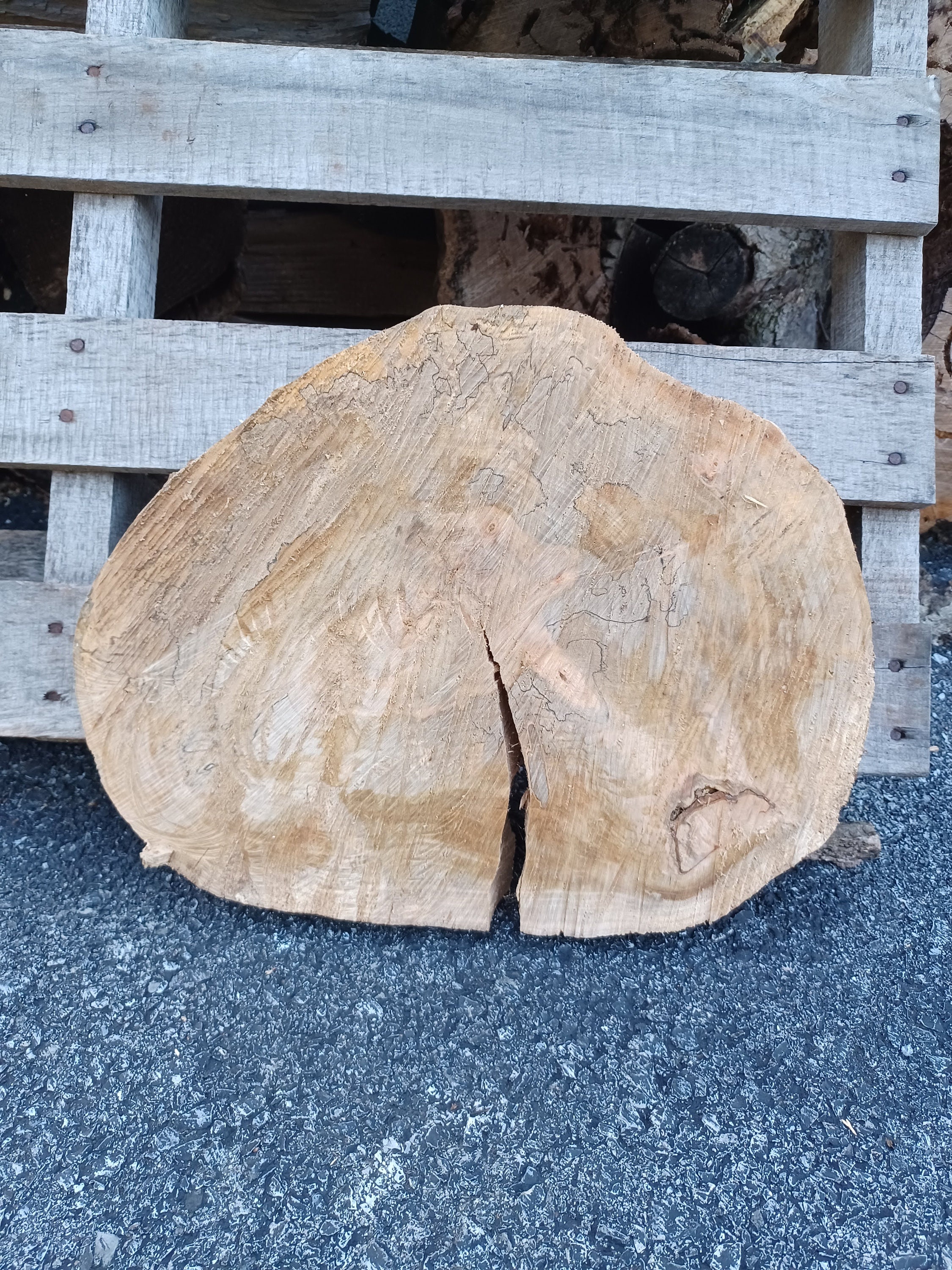 14 Live Edge Spalted Maple Wood Cookie - Etsy