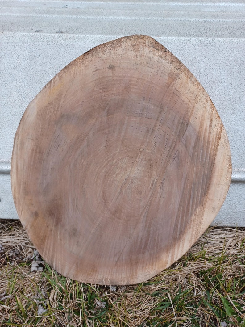 Live Edge Black Walnut Wood Slice - Etsy