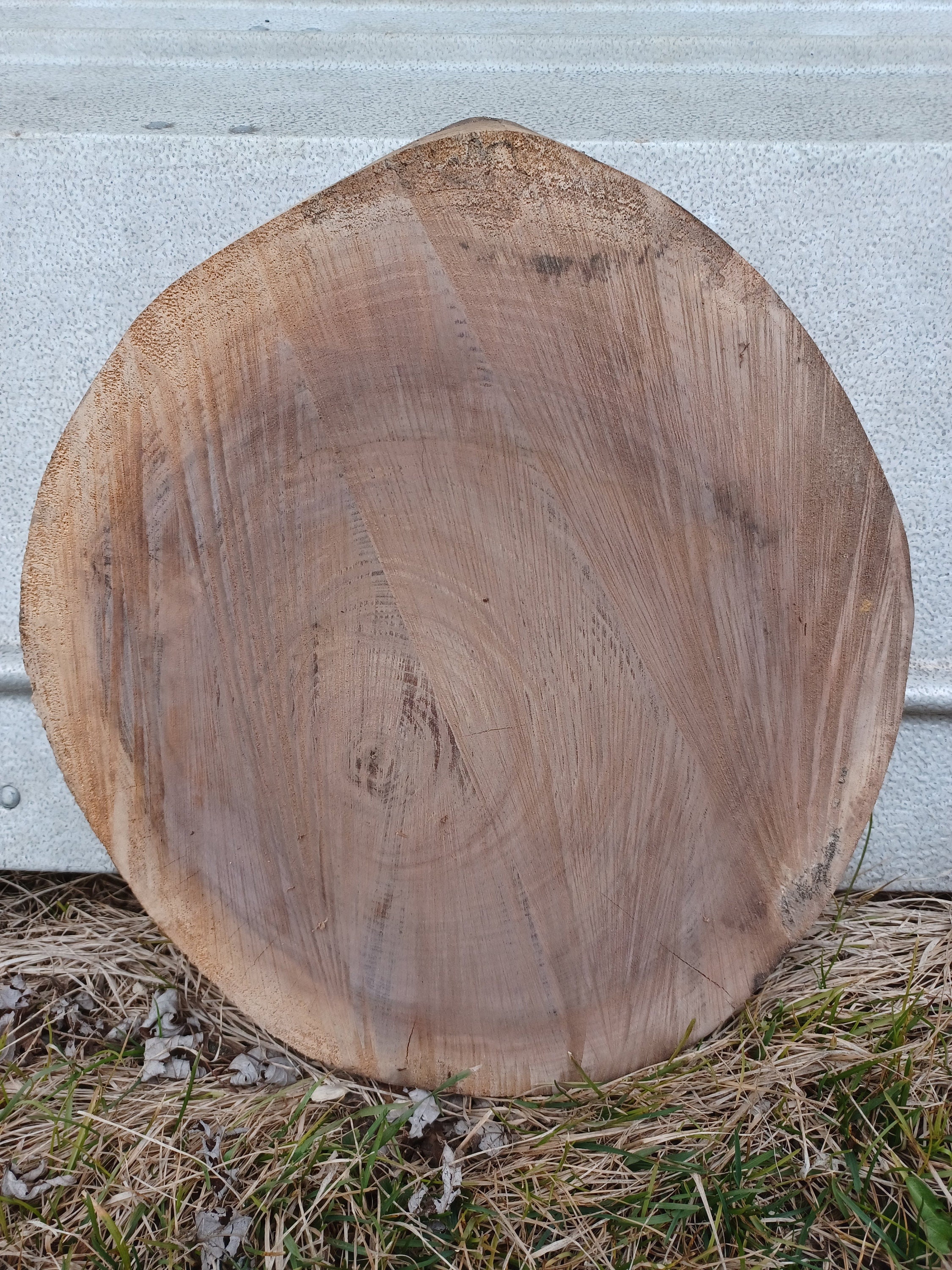 Live Edge Black Walnut Wood Slice - Etsy