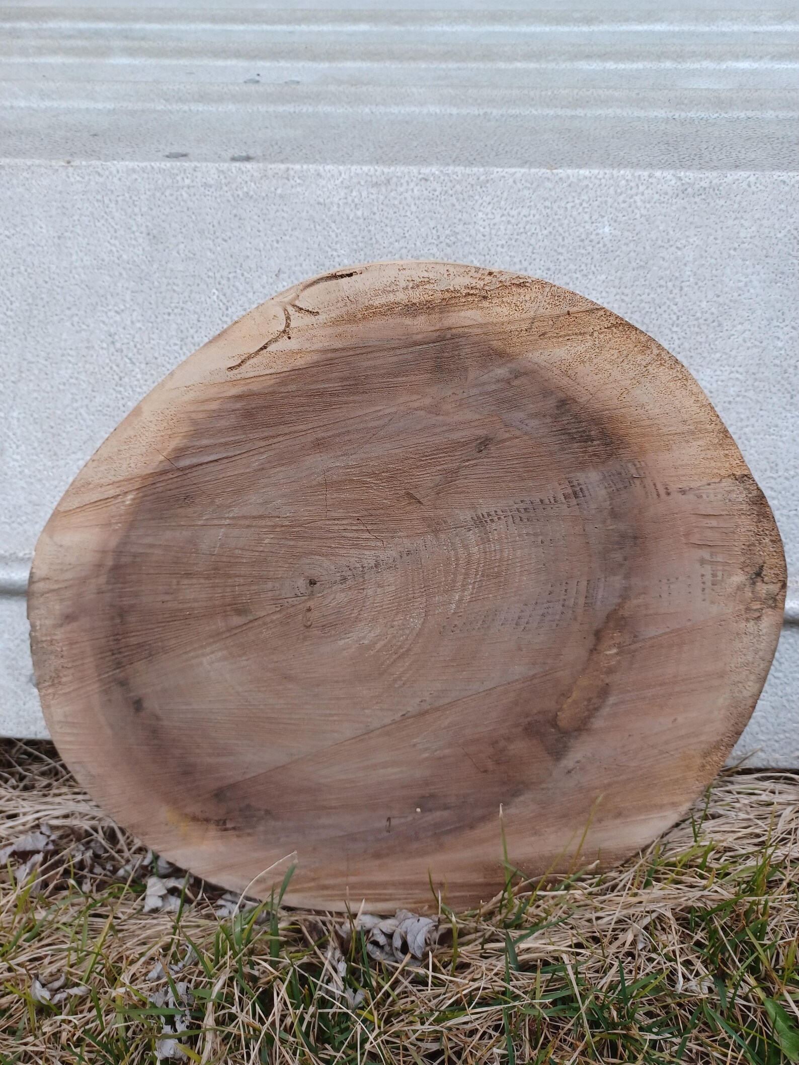 Live Edge Black Walnut Wood Slice - Etsy