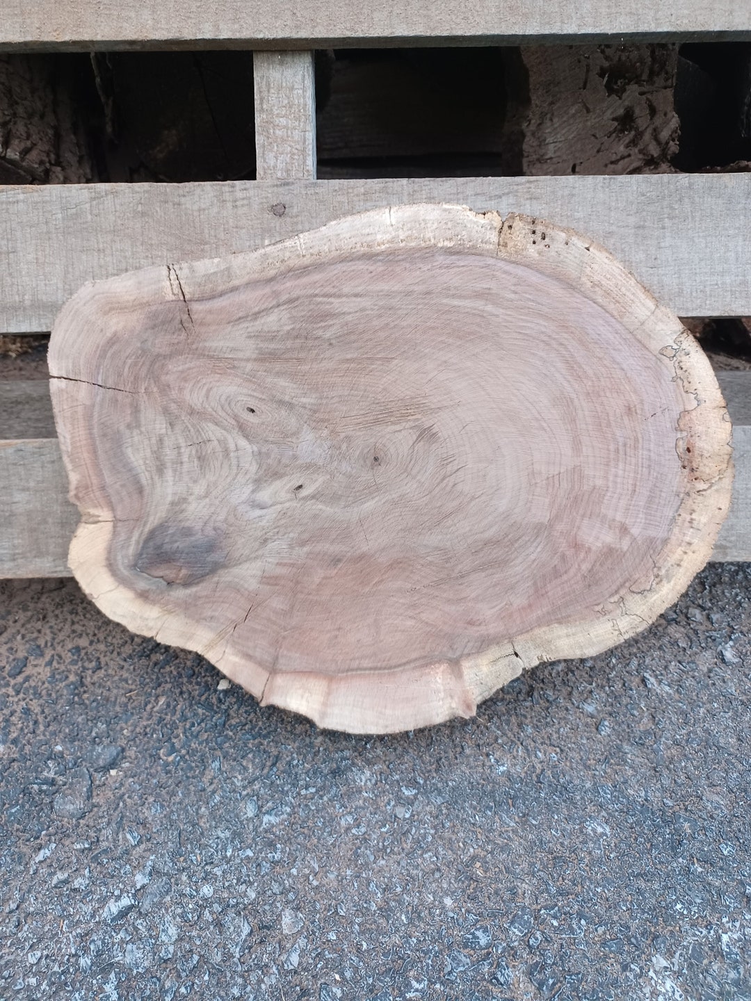 Live Edge Black Walnut Wood Slice - Etsy