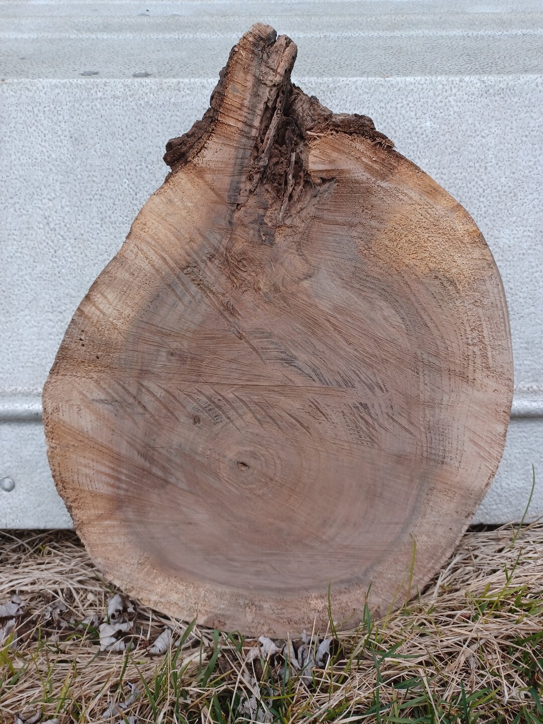 Live Edge Black Walnut Wood Slice - Etsy