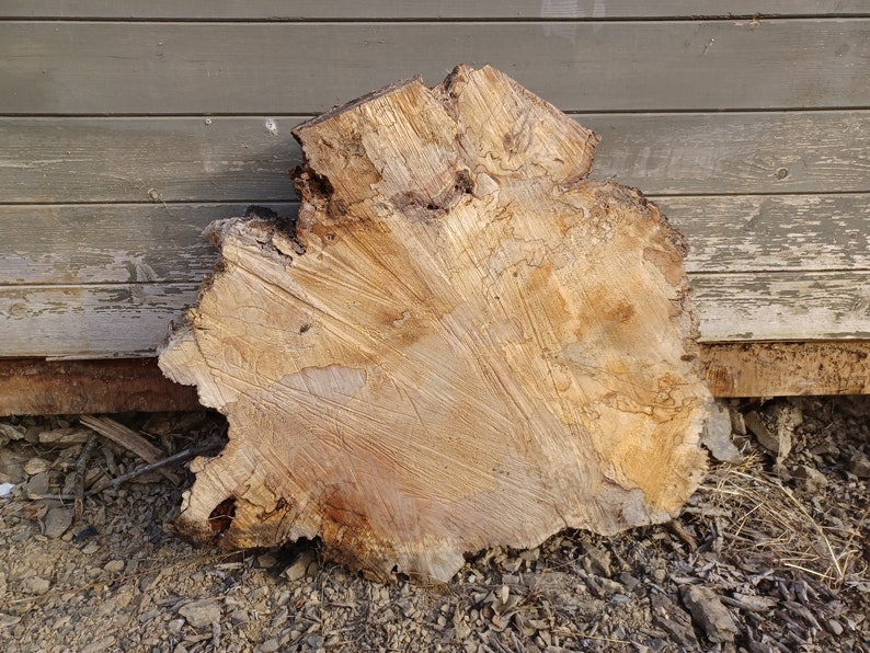 Rough Cut Live Edge Spalted Maple Slab 2 - Etsy