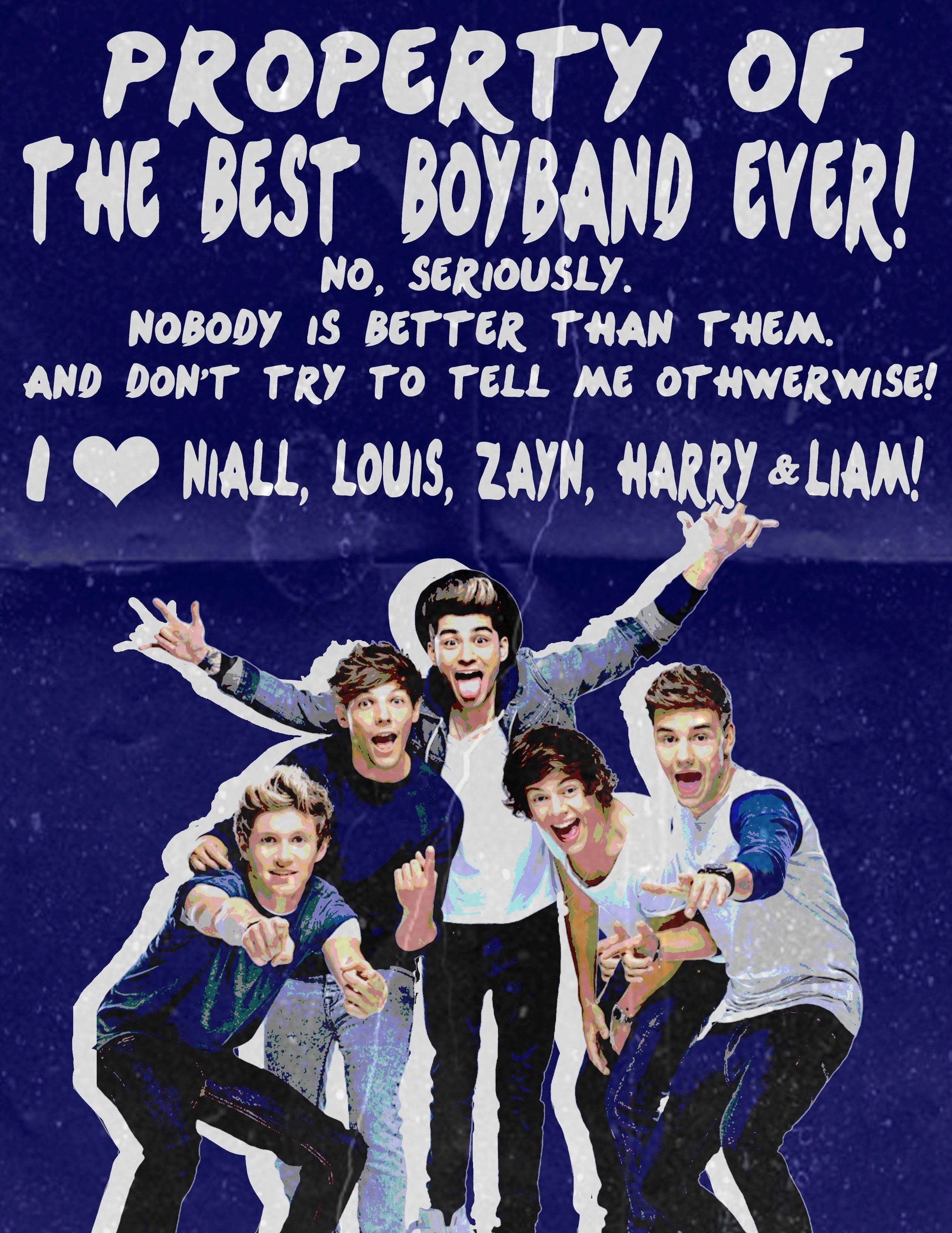 Funny One Direction Fan Posters
