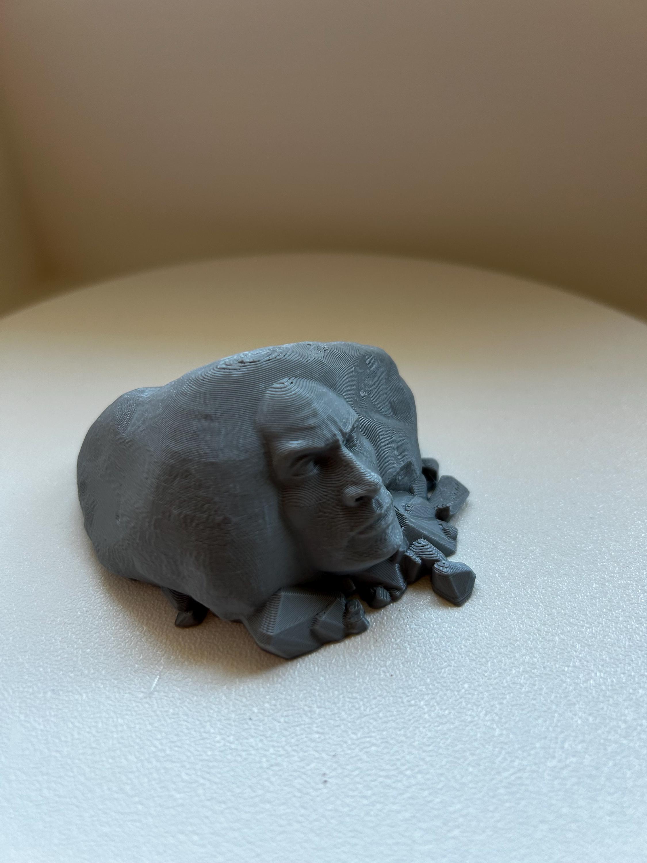 3D Printed Rock With the Rock's Face - Unique Pop Culture Decor | the ...
