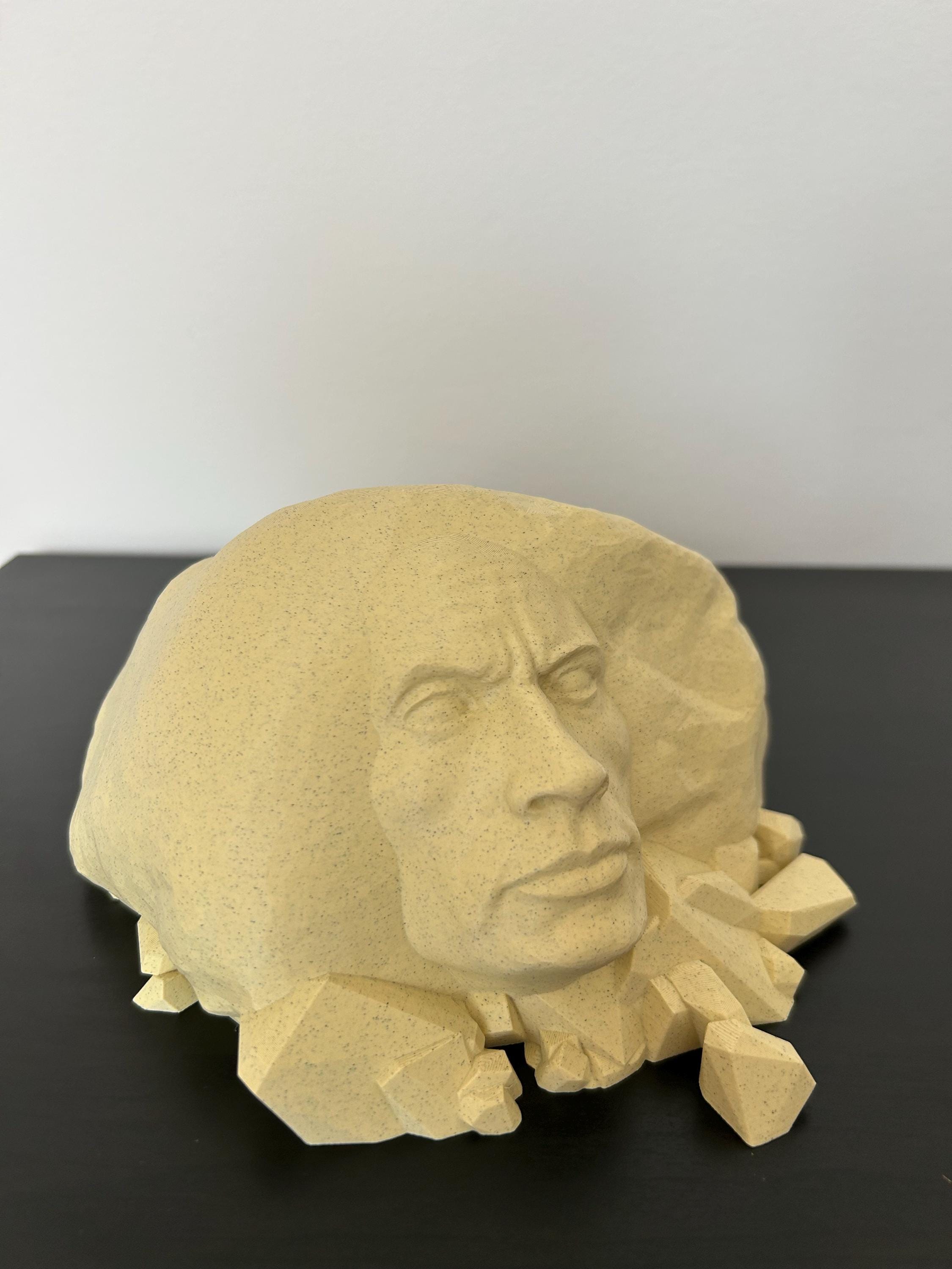 3D Printed Rock With the Rock's Face - Unique Pop Culture Decor | the ...