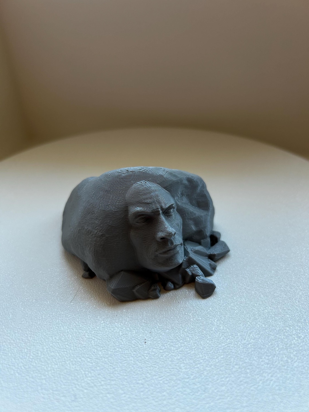 3D Printed Rock With the Rock's Face - Unique Pop Culture Decor | the ...