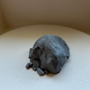 3D Printed Rock With the Rock's Face - Unique Pop Culture Decor | the ...