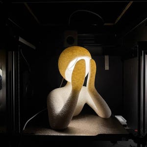 Abstract Face Lamp | 3D Printed Sculpture Light | Modern Art Home Decor ...