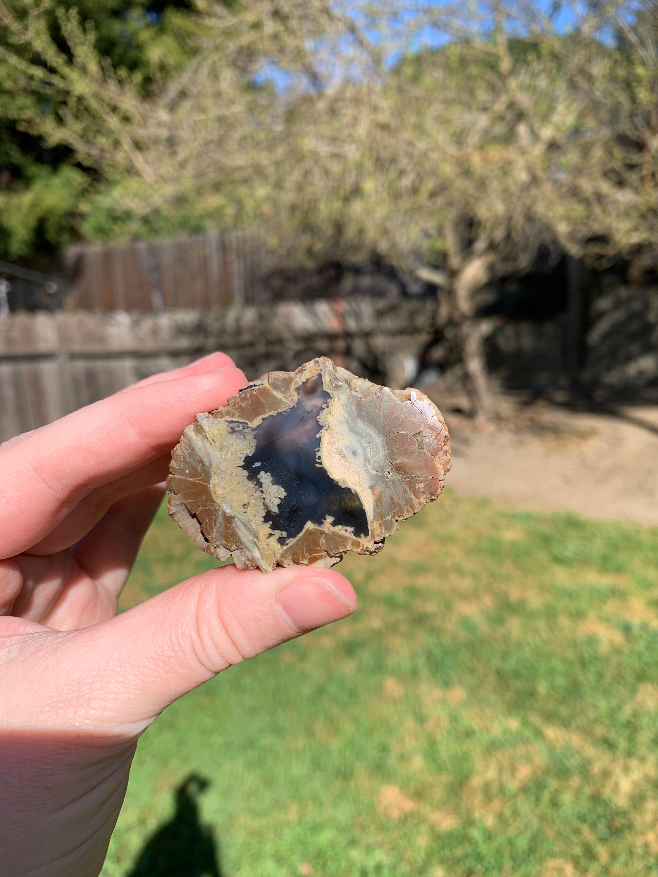 Oregon Thunder Egg - Etsy