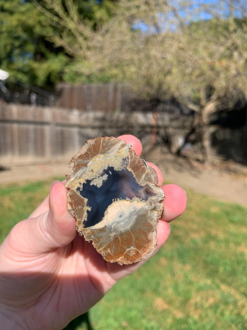 Oregon Thunder Egg - Etsy