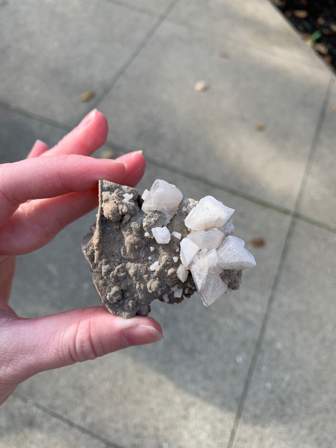 White Dogtooth Calcite on Matrix - Etsy