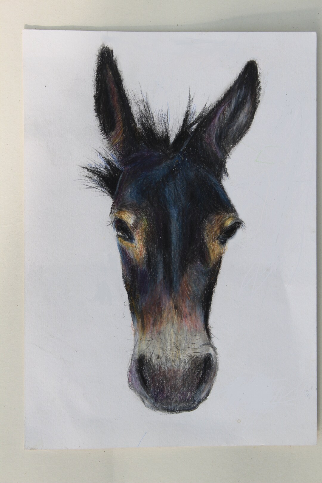 Mule Art Print - Etsy