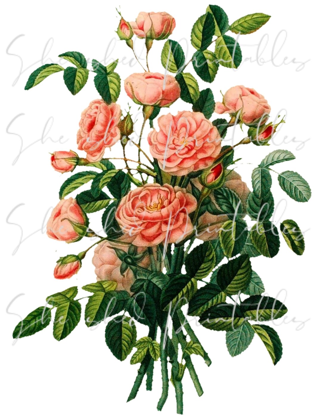 Pink Rose Bush Digital Download, Digital Image Vintage, DIY Crafts ...