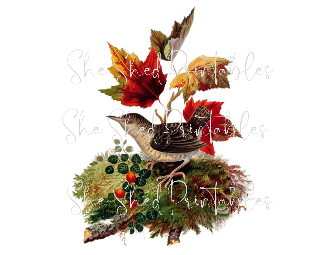 Bird With Fall Leaves Digital Download, Vintage, Printable, Clipart ...