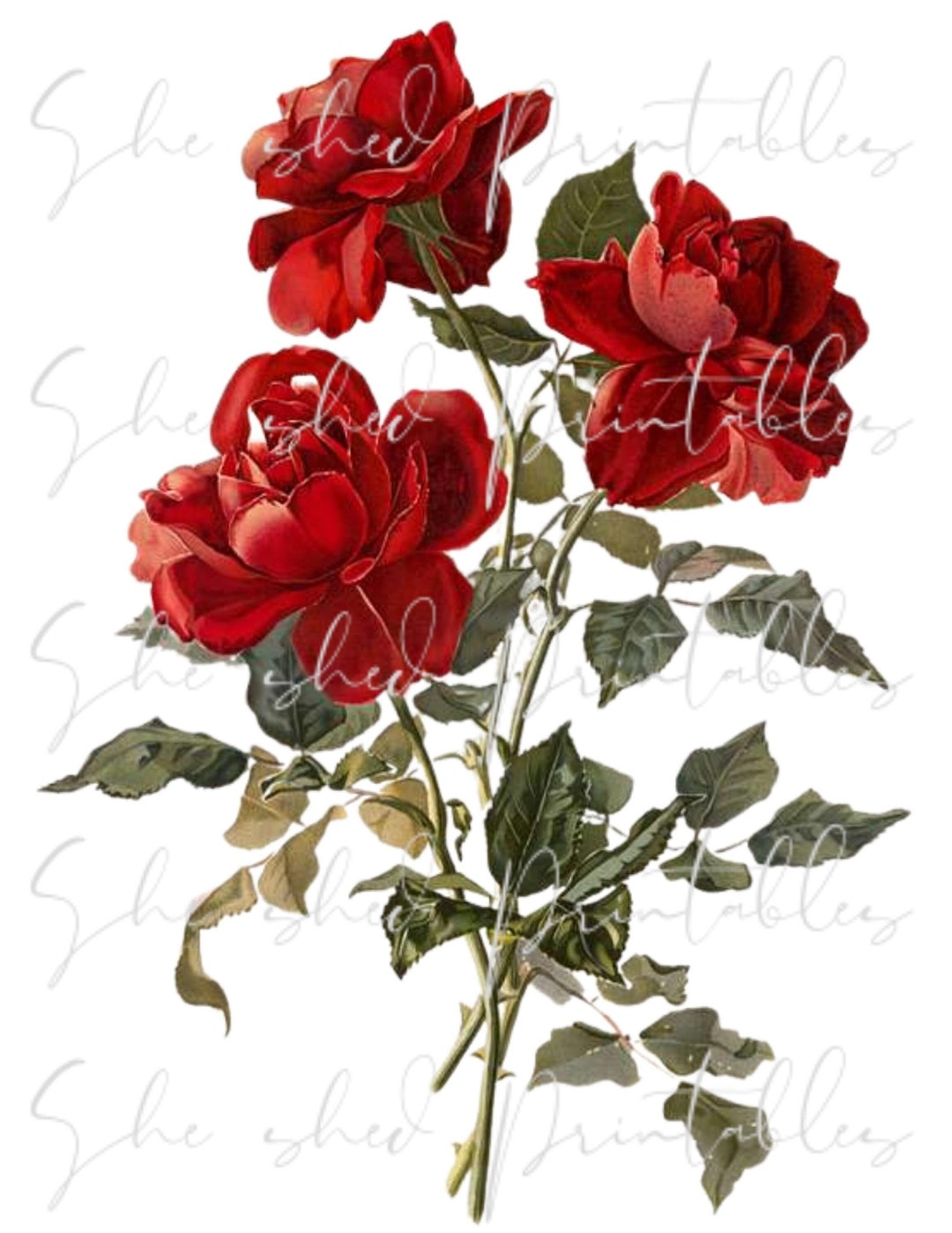 Red Roses Digital Download, Vintage, DIY Crafts, Digital Image, Flower ...