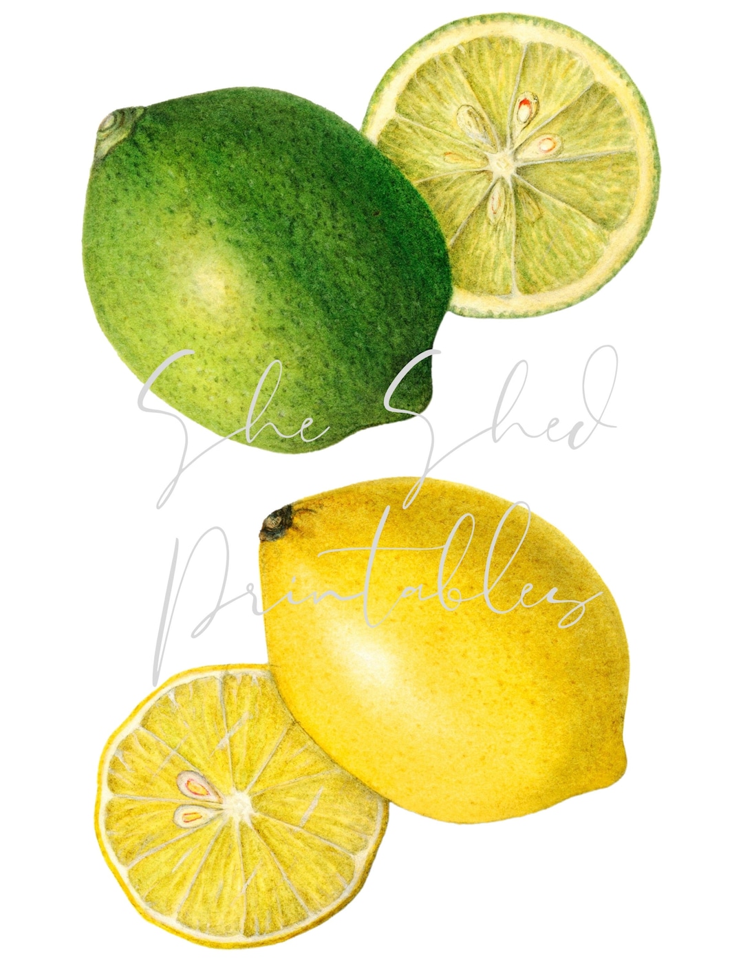 Lemon and Lime Digital Image, Instant Download, Vintage, Clipart, DIY ...
