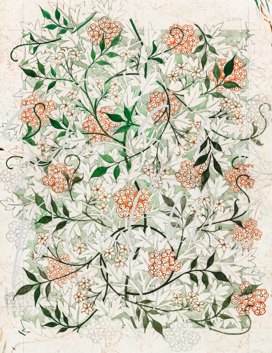 Jasmine Floral Pattern Digital Paper Printable Vintage, DIY Crafts, JPG ...