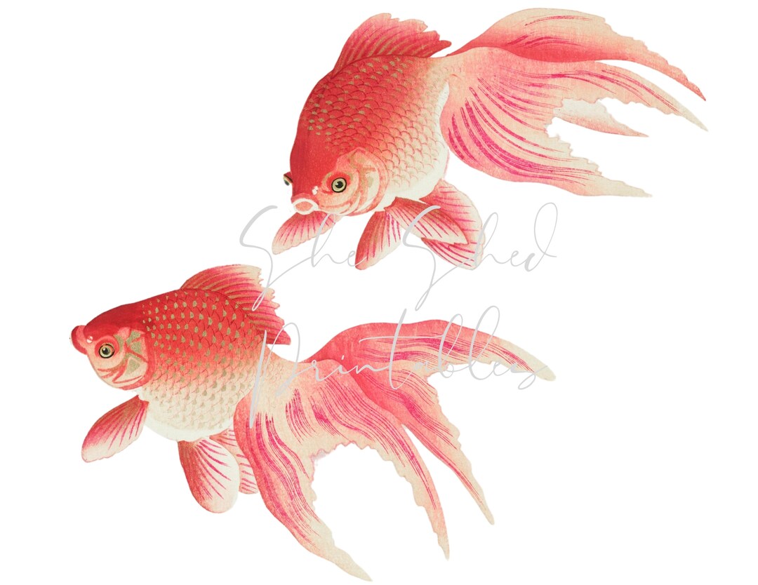 Two Veil Goldfish, Whimsical Digital Download, Image Vintage, DIY ...