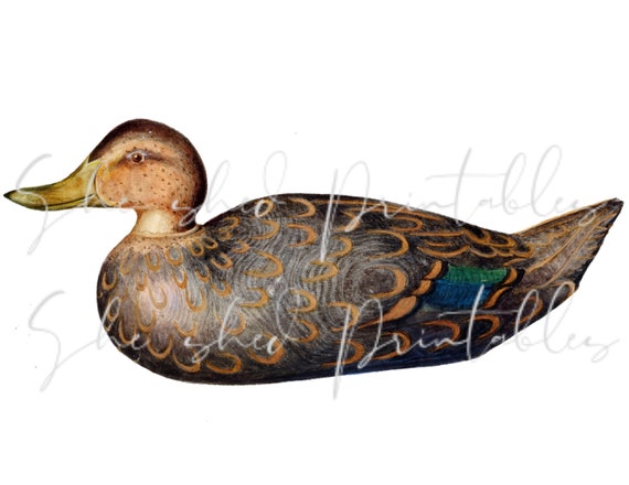 Duck Decoy Duck Illustration Instant Download Digital Image - Etsy