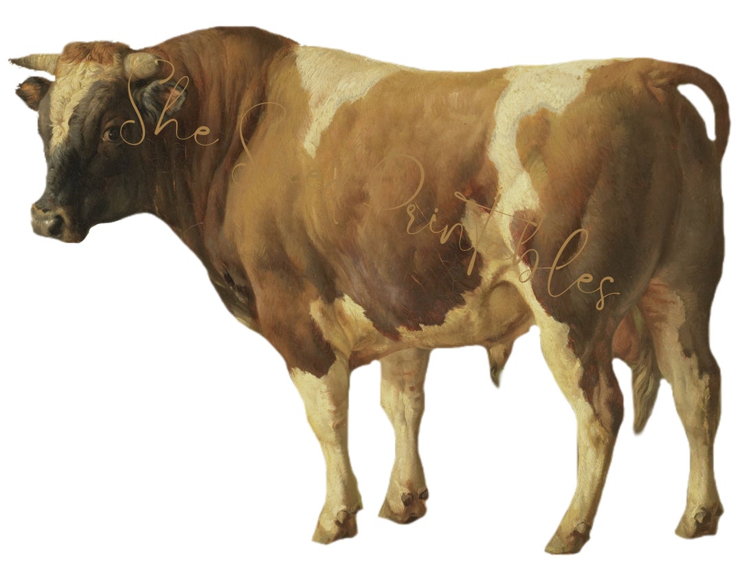 1800's Steer, Bull, Cow Digital Download, Vintage, DIY Crafts, Clipart ...