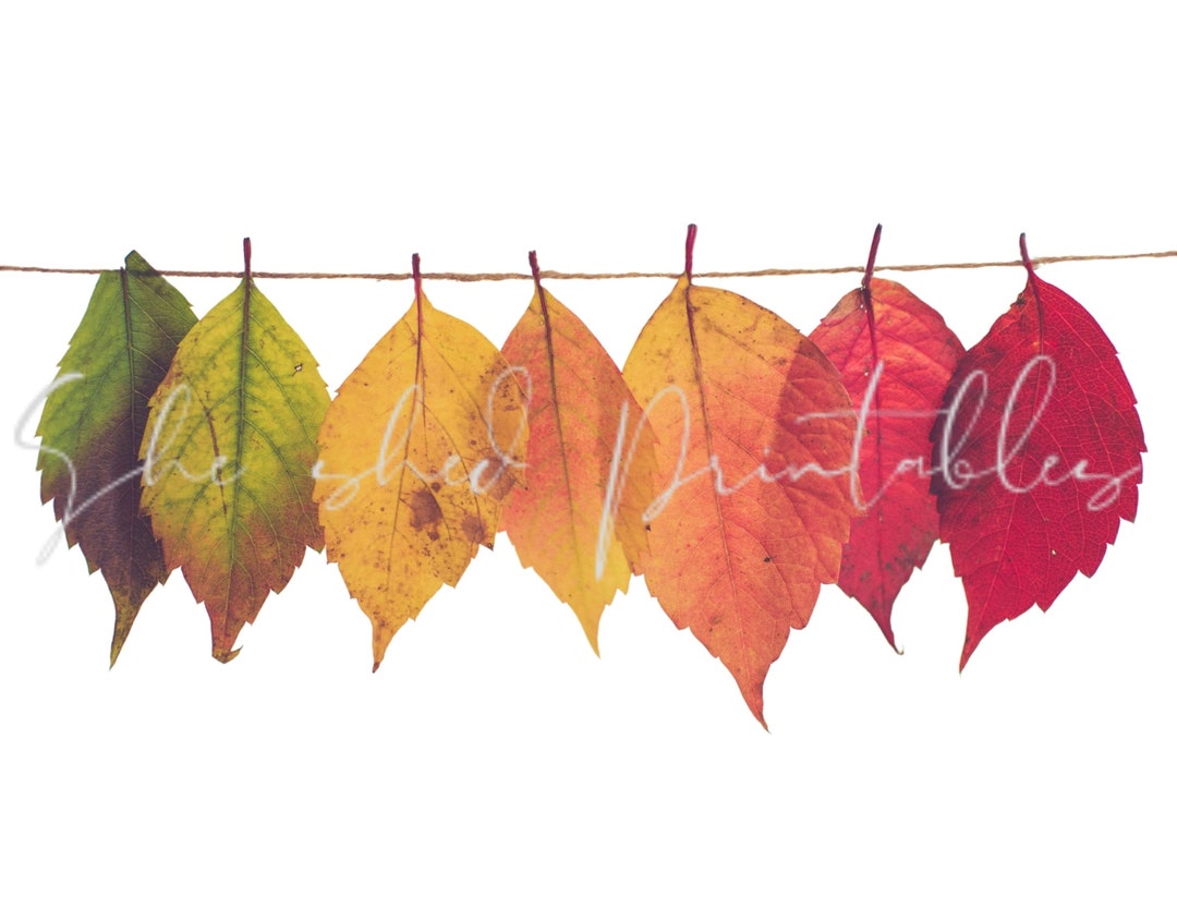 Autumn Leaves on a String, Leaf Plant Digital Image, Download, Vintage ...