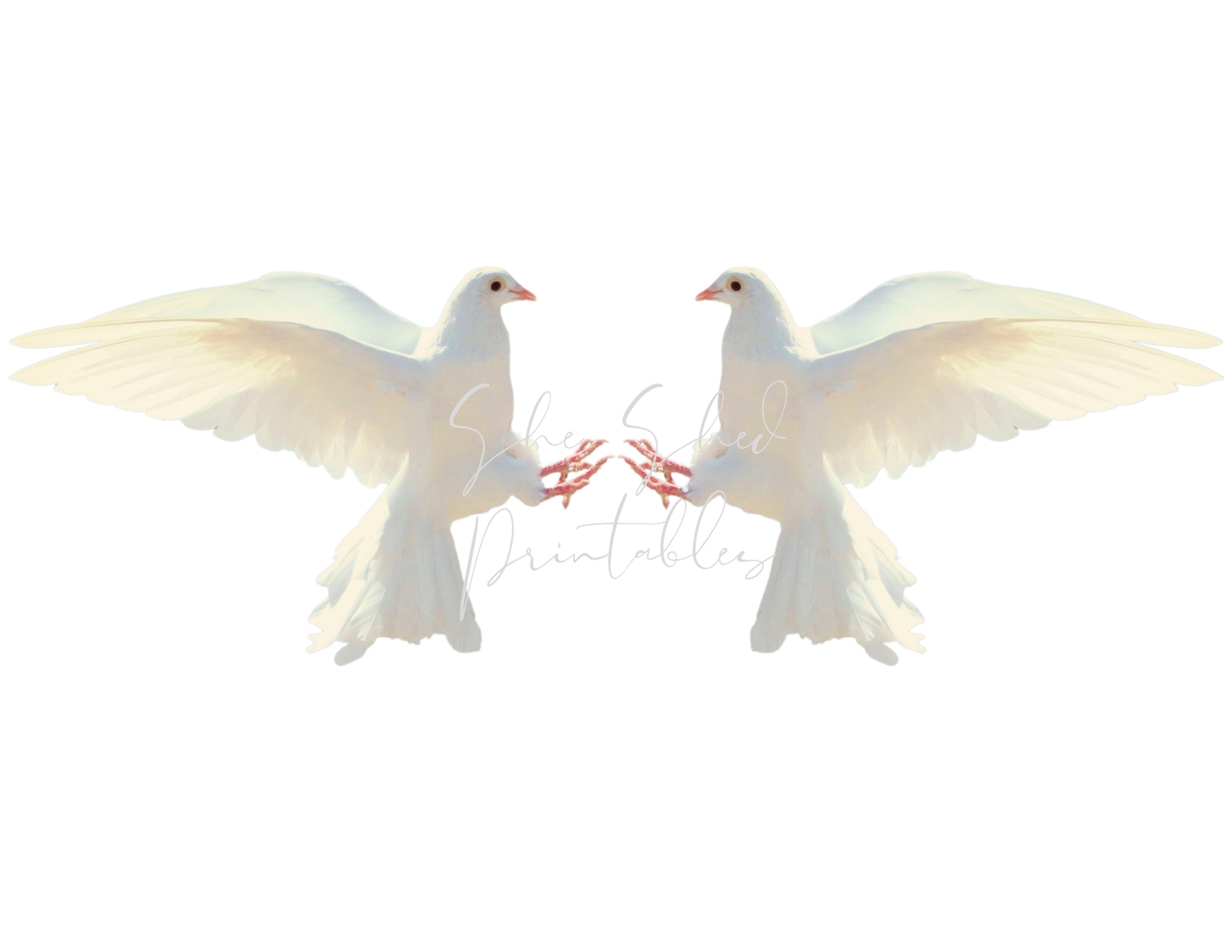 Wedding Clipart Doves