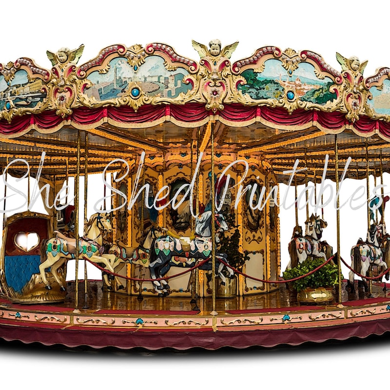 Merry Go Round - Etsy