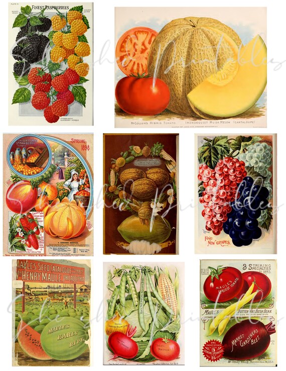 Vintage Seed Book Covers Fruits Vegetables Digital Download - Etsy