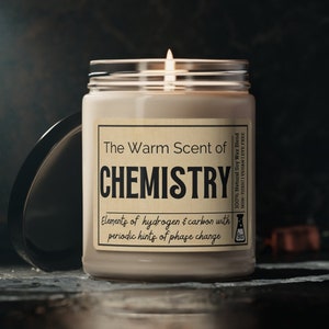 CHEMISTRY TEACHER GIFT, Chemistry Themed Gifts, Chem Professor, Unique ...