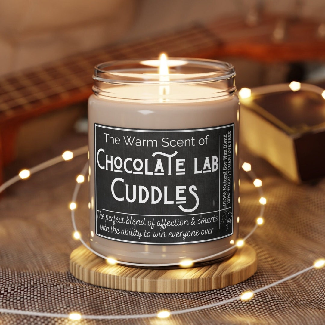 CHOCOLATE LAB GIFT, Chocolate Lab Lover, Labrador Retriever Candle ...