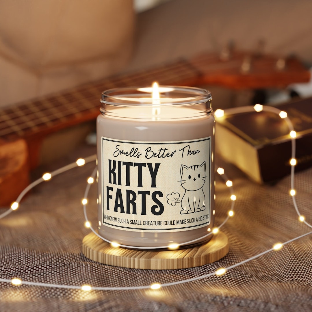 Funny Cat Gift Cat Owner Gift Kitty Fart Candle Funny Cat Owner Gifts ...