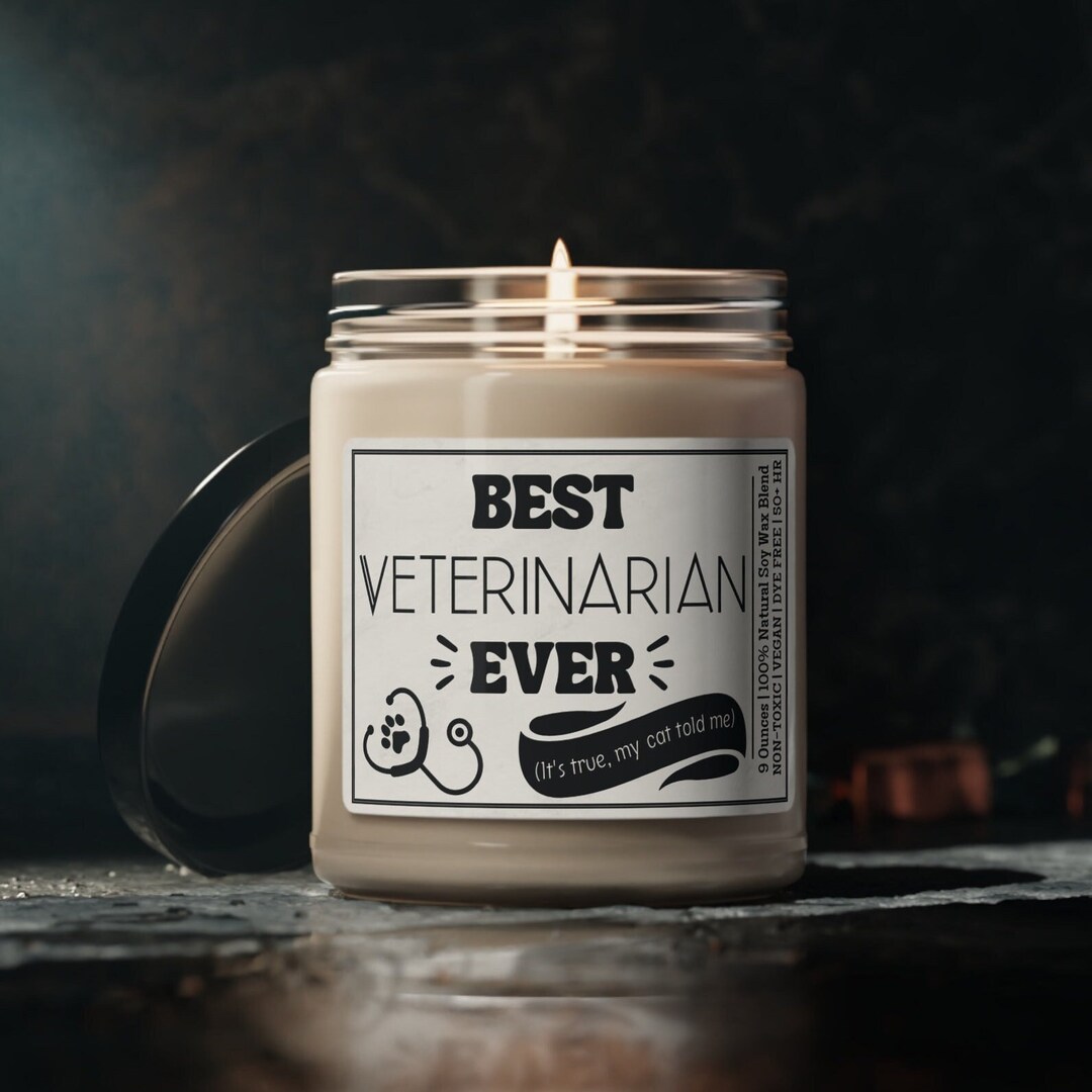 VETERINARIAN GIFT, Gift for Veterinarians, Vet Office Decor, Veterinary ...