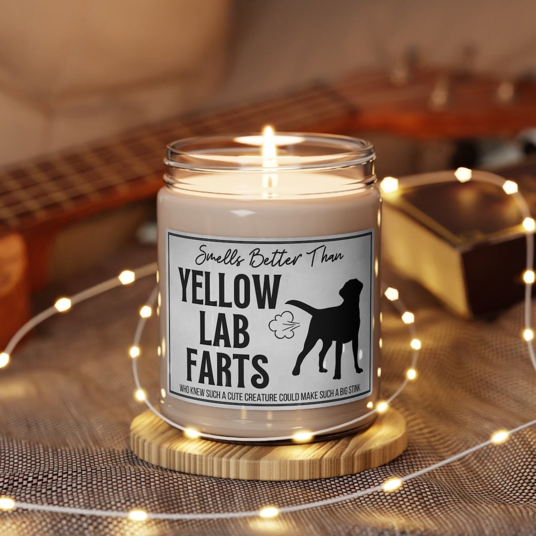 Smells Better Than Yellow Lab Farts Candle, Yellow Lab Owner Gift ...