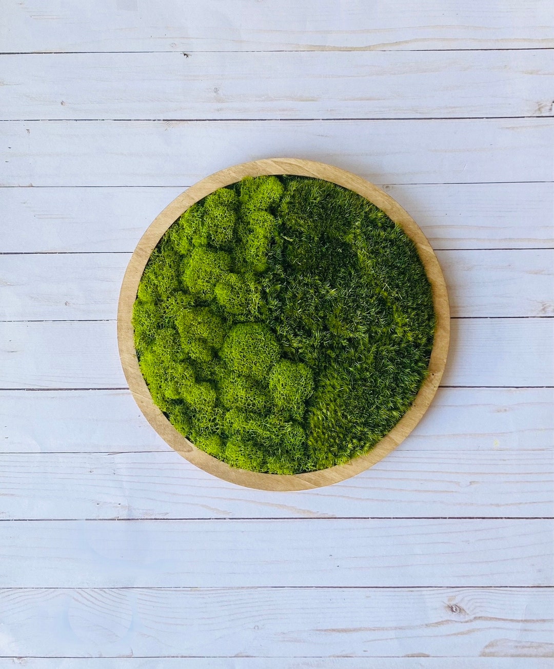 Moss Circle (large, Green Gradient) - Etsy