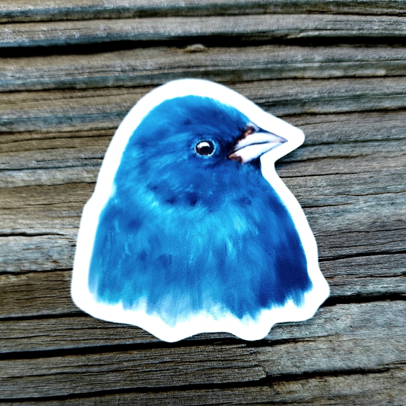 Stickers Indigo - Etsy