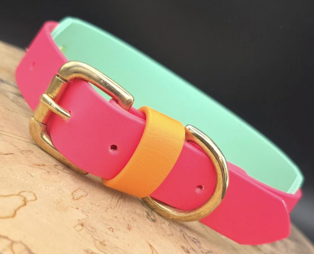 Biothane Layered Dog Collar - Etsy