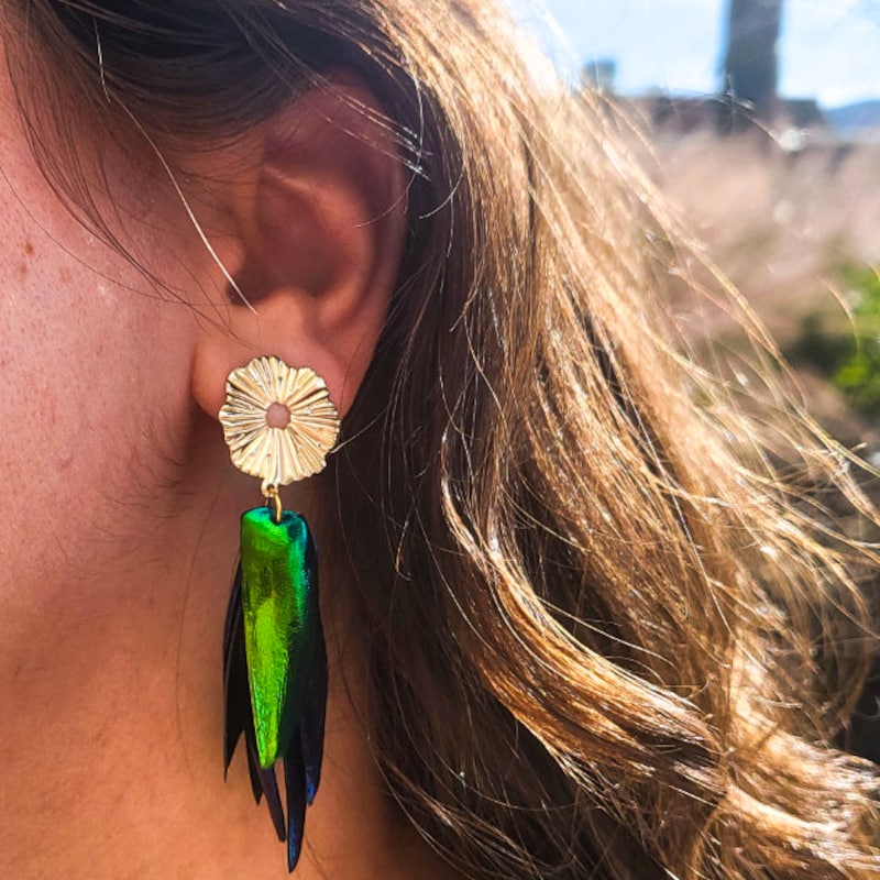 Beetle Earrings - Etsy