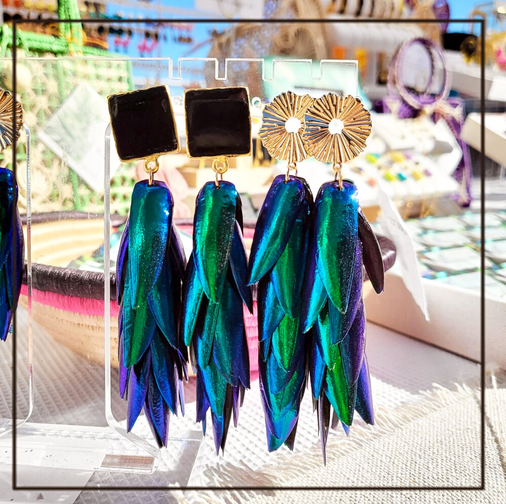 Full Beetle Wing Earrings - Circular Gold Top - Etsy