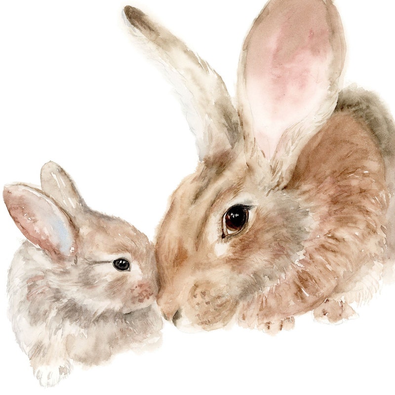 Baby Bunny Print - Etsy