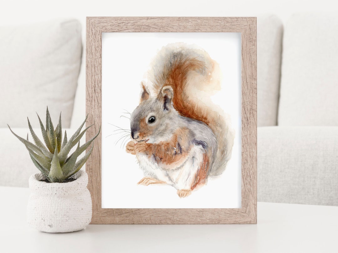 Squirrel Watercolor Art Print, Woodland Wildlife Painting for Wall Art ...